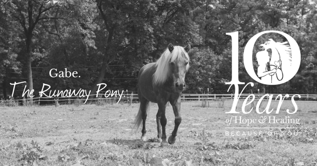 Flashback Friday: The Runaway Pony - Hope Reins