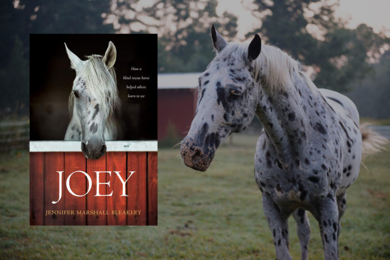 Joey The Book - Hope Reins