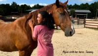 Blog - Hope Reins